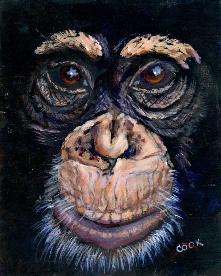 A Chimpanzee Face – Downloadable – Academy of Fine Art and Acrylic Painting