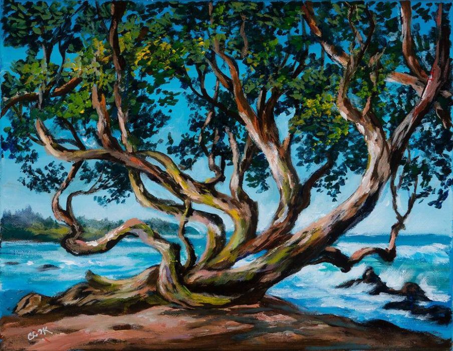 Hana Hawaii Seaside Park Tree – Introduction – Academy of Fine Art and ...