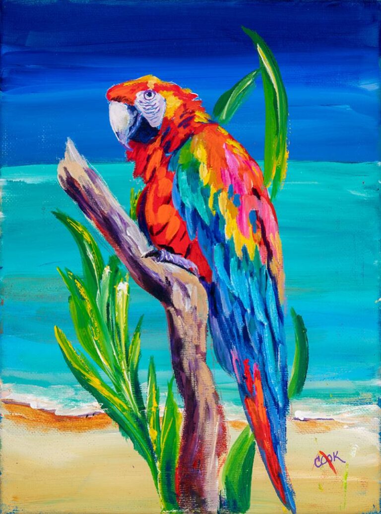 Parrot of the Caribbean – Introduction – Academy of Fine Art and ...